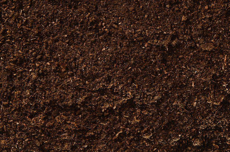 St. Louis Sodic and Sandy Soil | Gypsum and Organic Farming | Soil ...