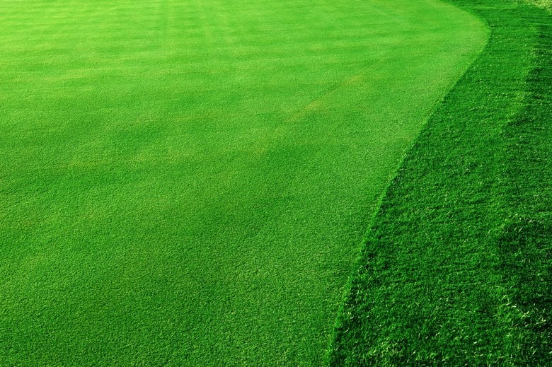 Salinas Golf Course and Gypsum | Managing Pond Scum | Greens Require ...