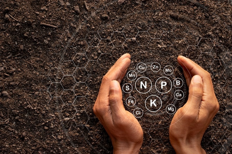 Salinas Soil Moisture Levels | Water Scarcity | Water Infiltration
