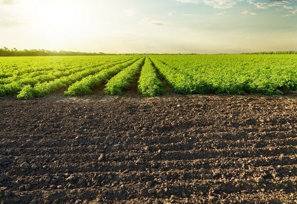 Churchill Regenerative Agriculture | Soil Regeneration | Moisture Retention